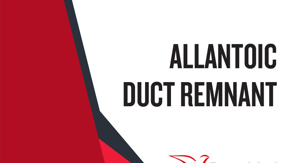 Allantoic Duct Remnant
