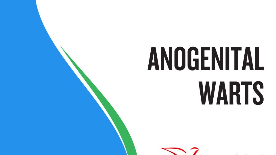 Anogenital Warts