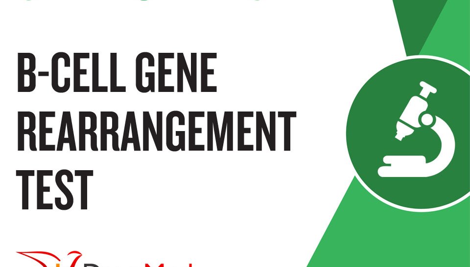 B-Cell Gene Rearrangement Test