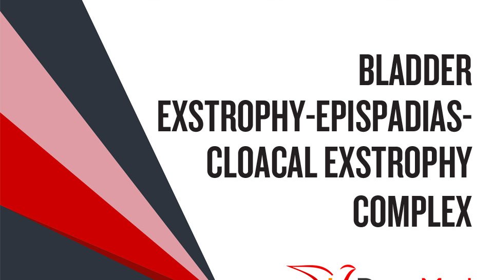 Bladder Exstrophy-Epispadias-Cloacal Exstrophy Complex