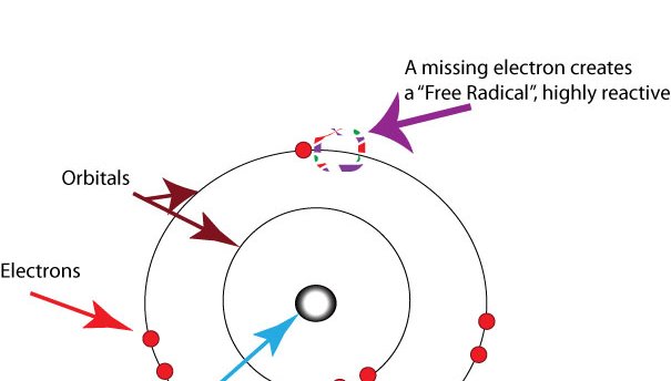 What Are Free Radicals?