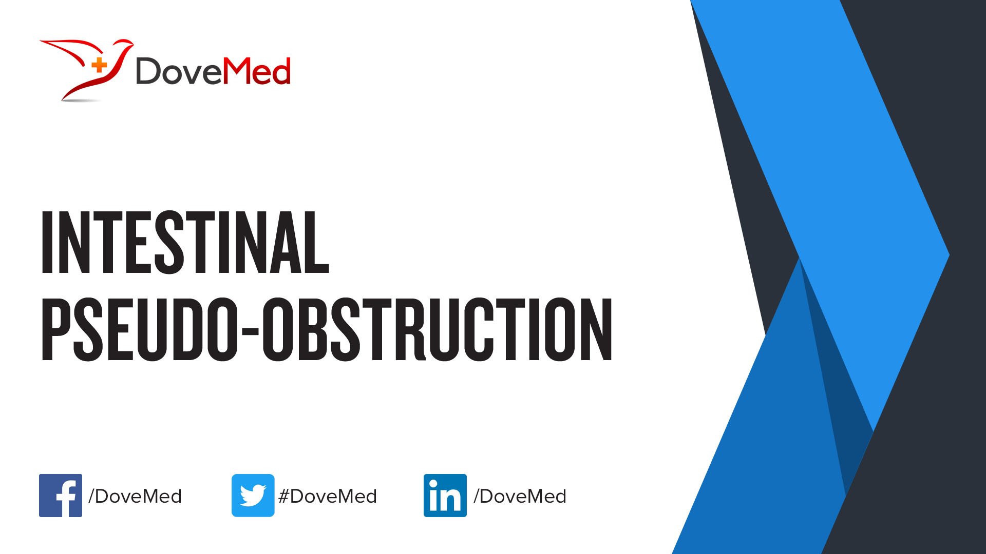 Intestinal Pseudo-Obstruction