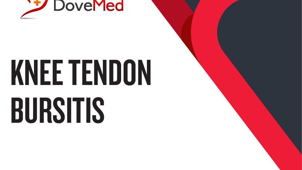 Knee Tendon Bursitis