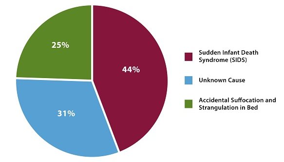 Sudden Infant Death Syndrome