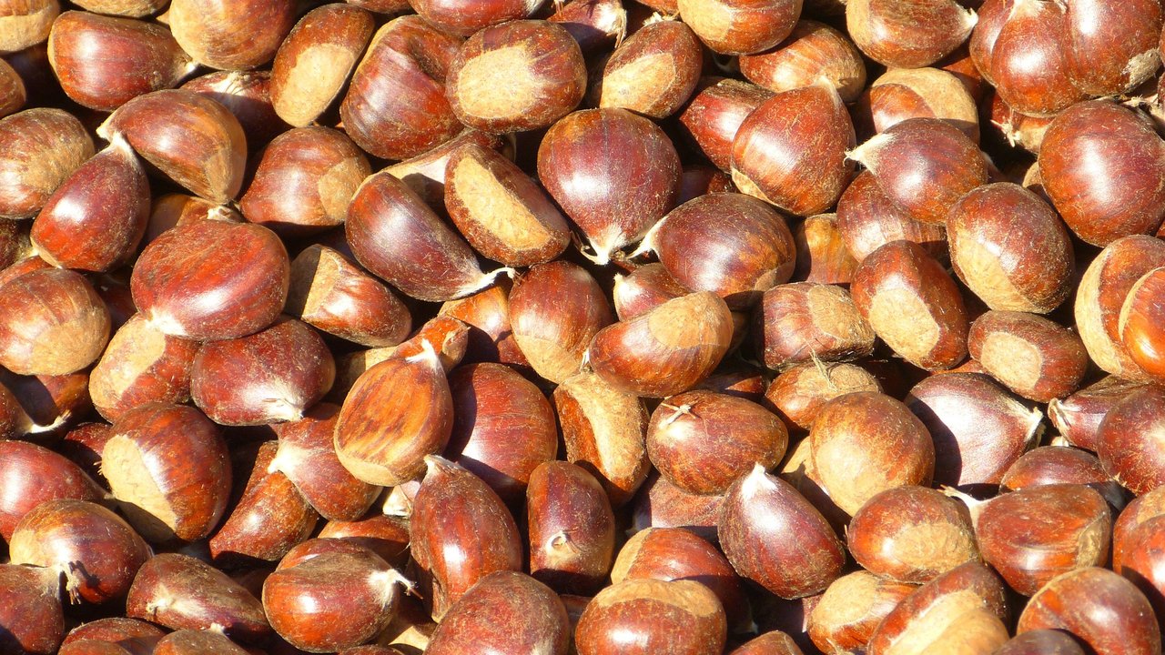 7 Health Benefits Of Chestnuts
