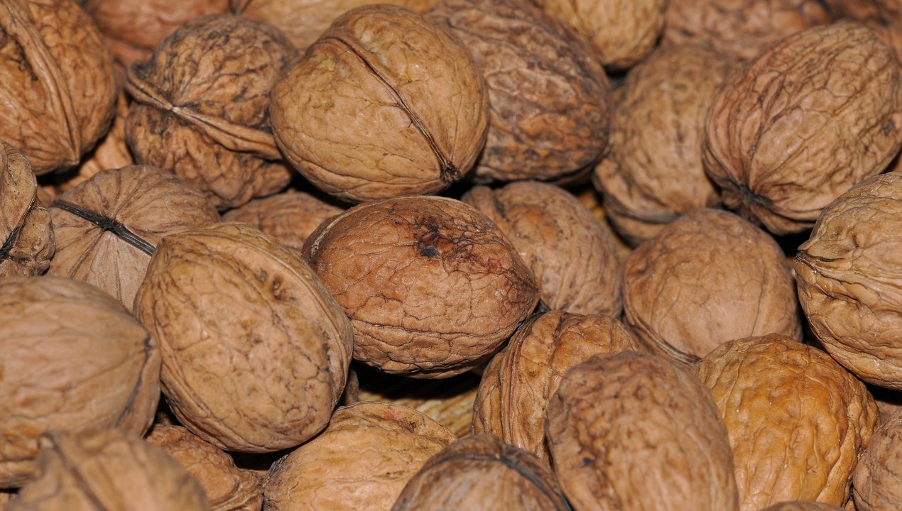What Are The Health Benefits Of Walnuts?