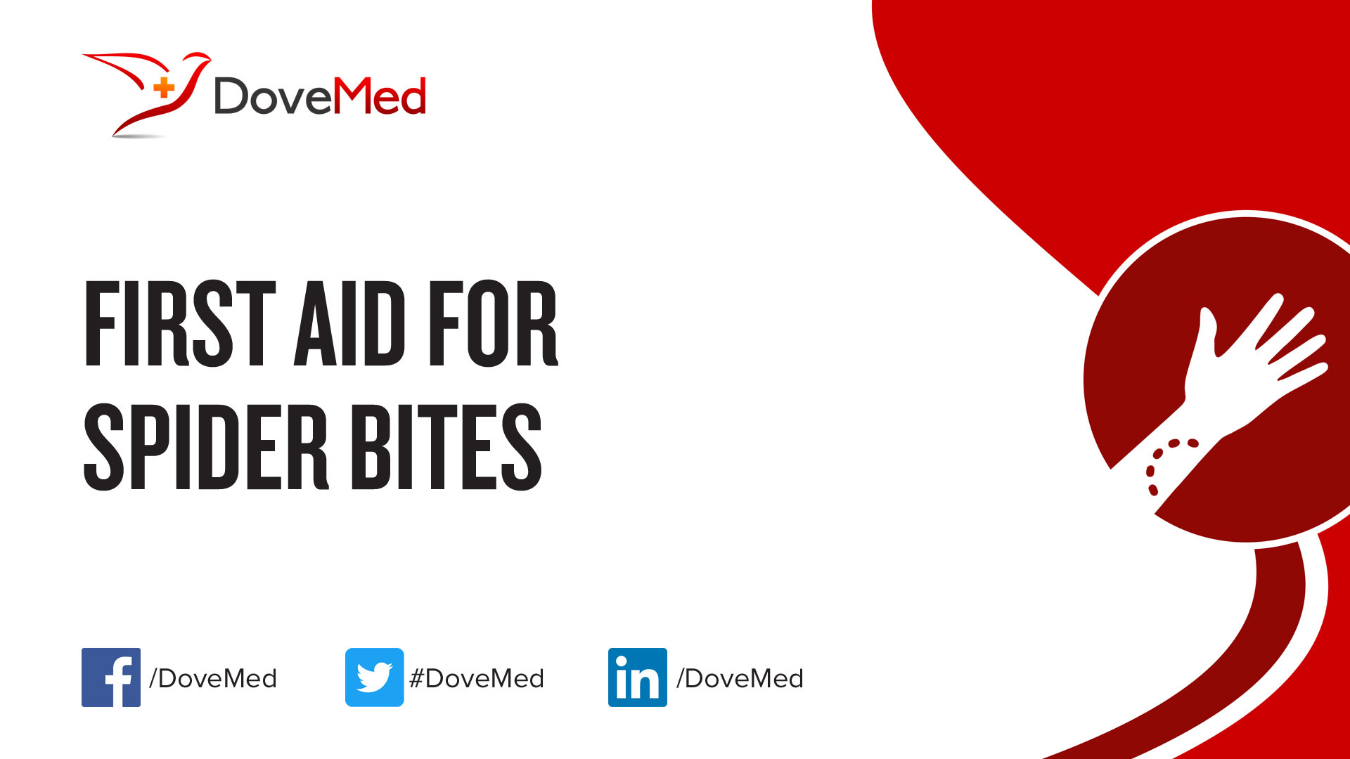 First Aid for Spider Bites